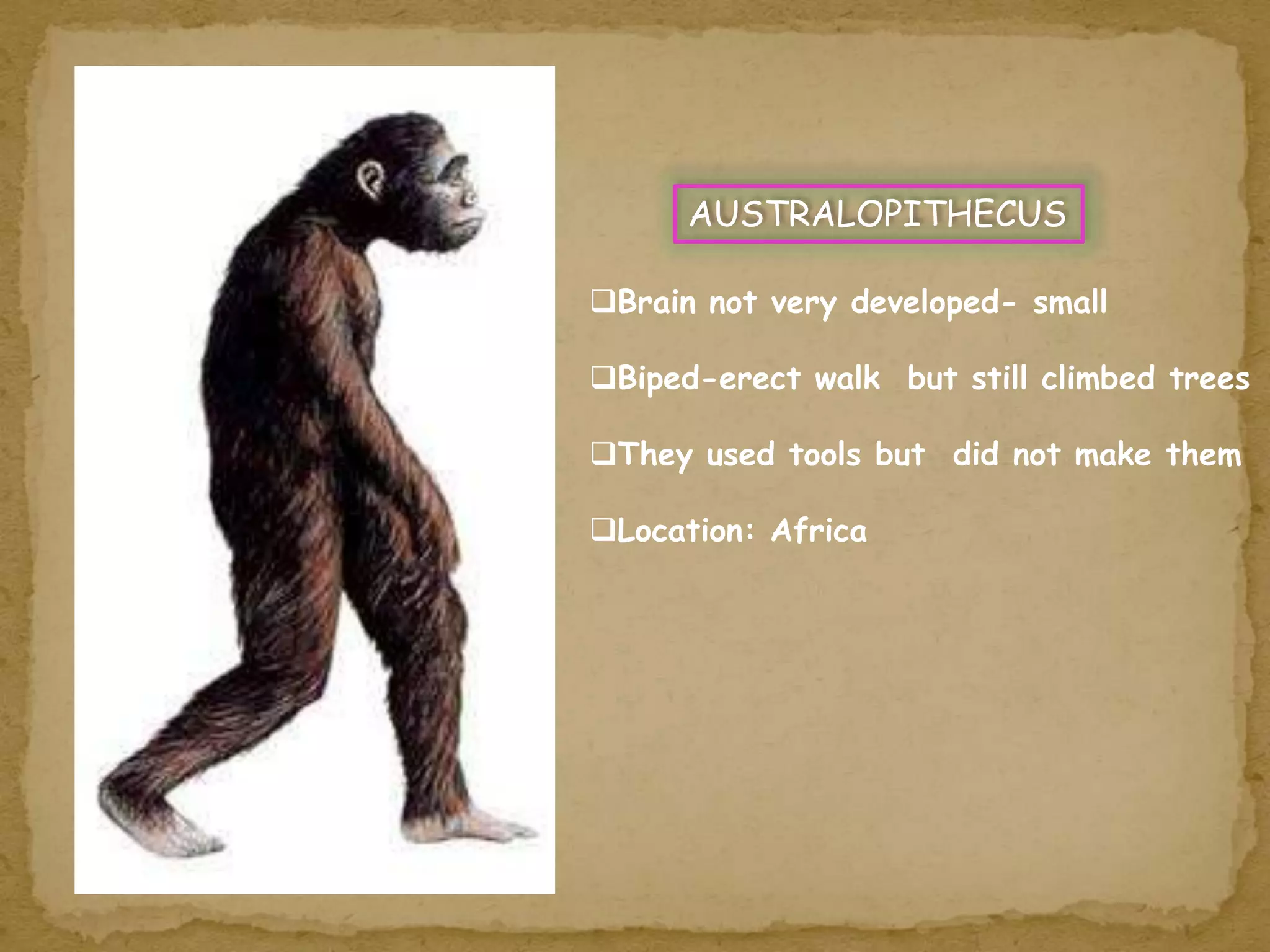 Unidad 2 parte 1 | PPTX