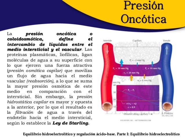 Unidad 2 Parte I Equilibrio hidroelectrolitico