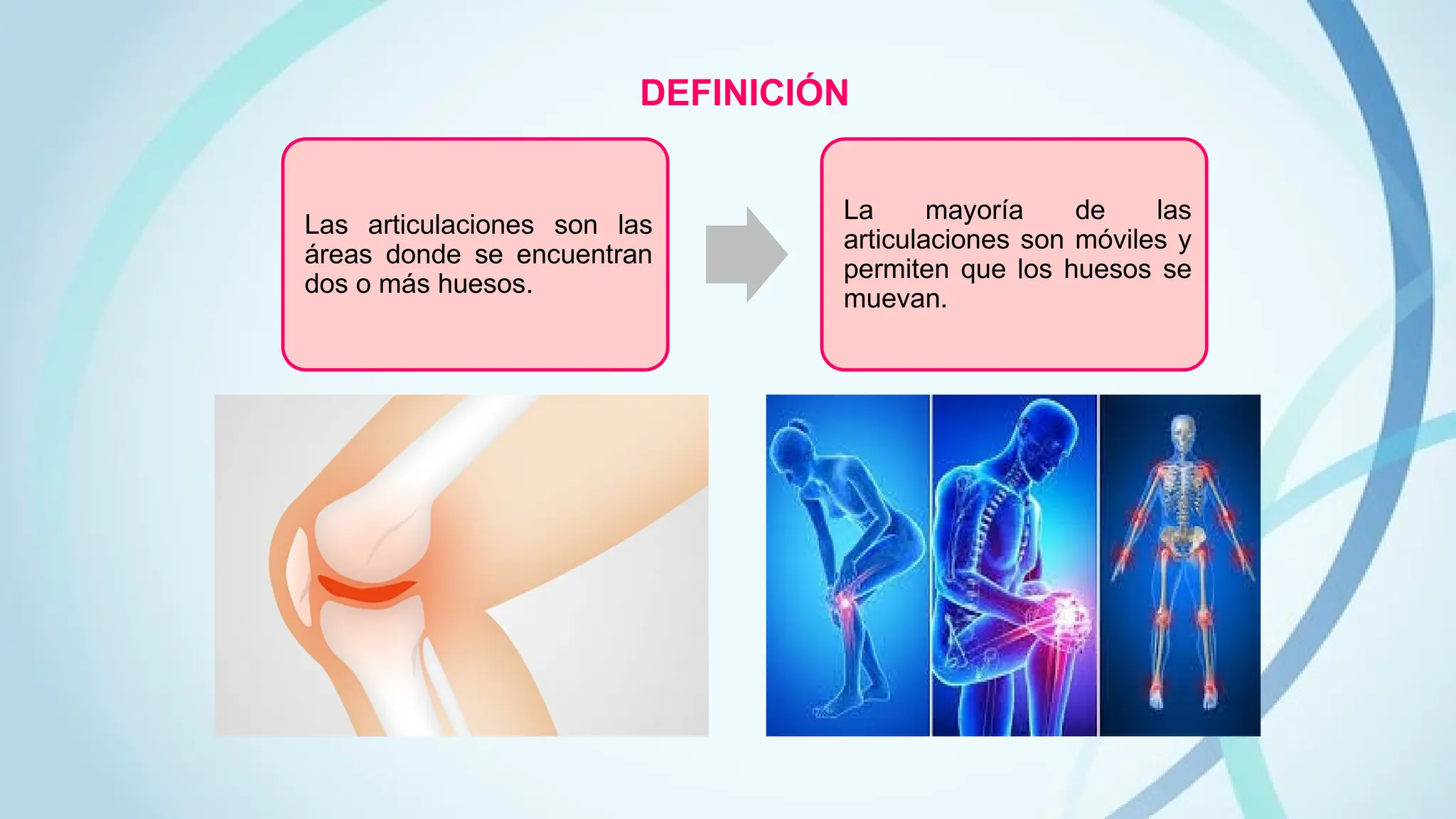 UNIDAD 2 SISTEMA ESQUELETICO Y ARTICULAR💗.pptx