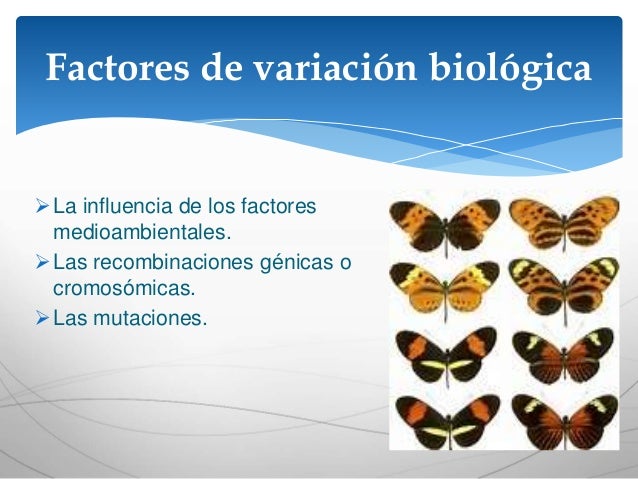 Variaciones y varibles