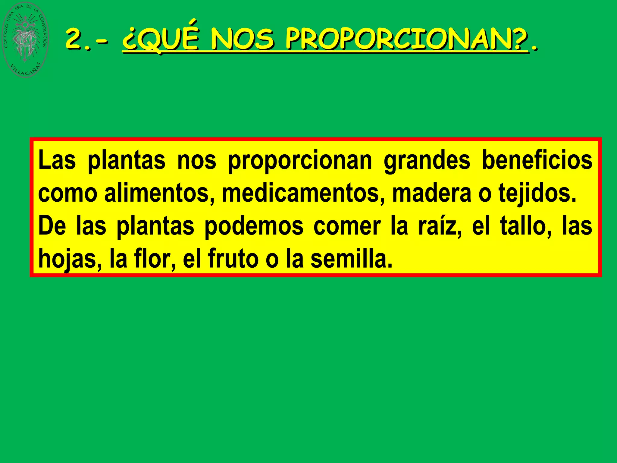 Unidad 3. las plantas | PPT
