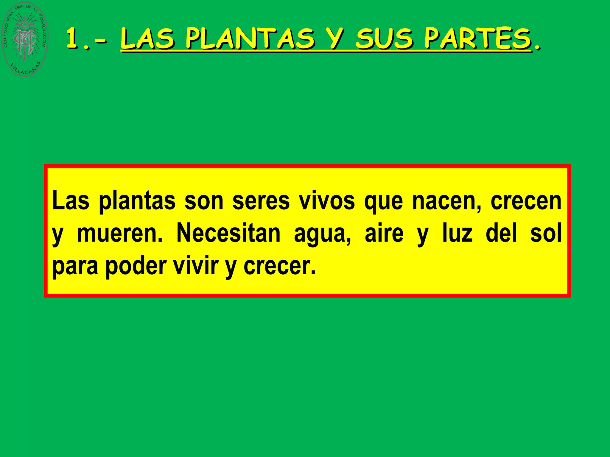 Unidad 3. las plantas | PPT