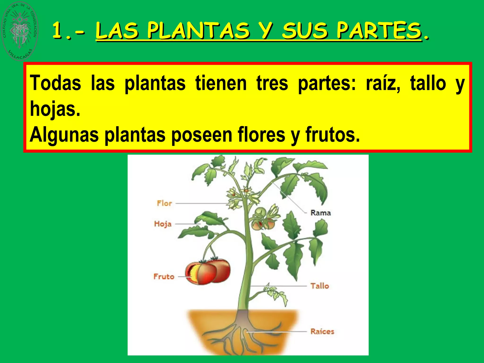 Unidad 3. las plantas | PPT