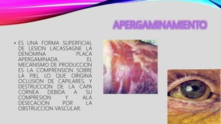 MEDICINA FORENSE | PPTX