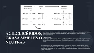 UNIDAD 3 BIOQUIMICA (1).pptx