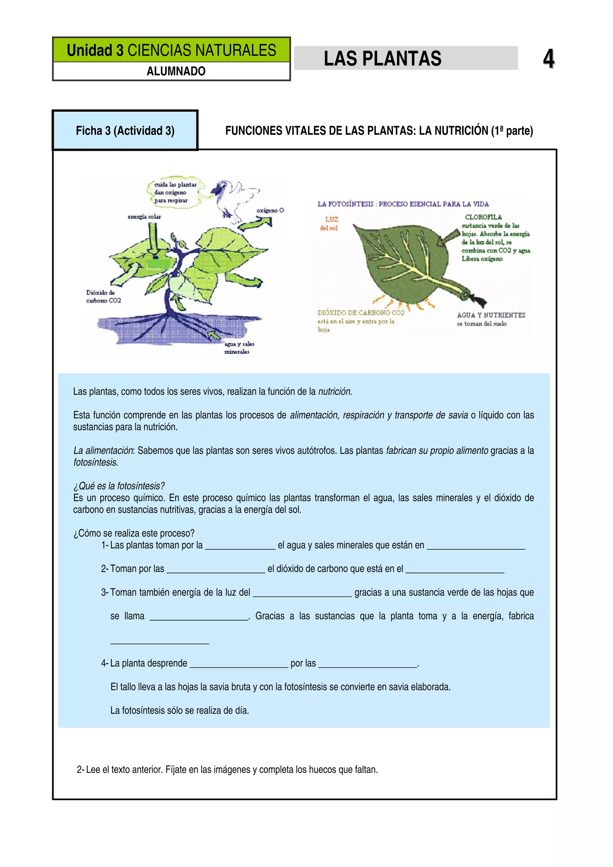 Unidad_3_CIENCIAS_NATURALES_LAS_PLANTAS.pdf