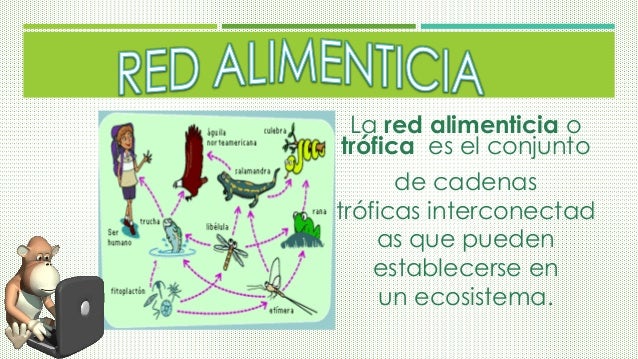 red alimenticia UNIDAD 3