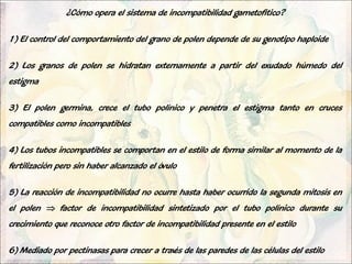 Unidad 4.- Mecanismos de incompatibilidad | PDF