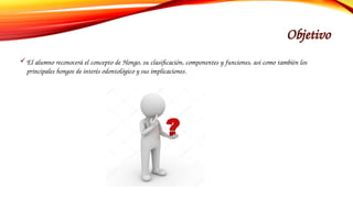 Unidad 4 Hongos, todas sus características | PDF