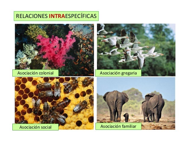 Unidad 5