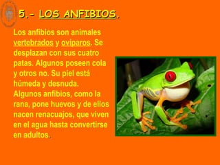 Unidad 5. los animales | PPT