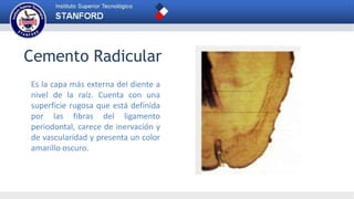 Unidad 5 | PPTX