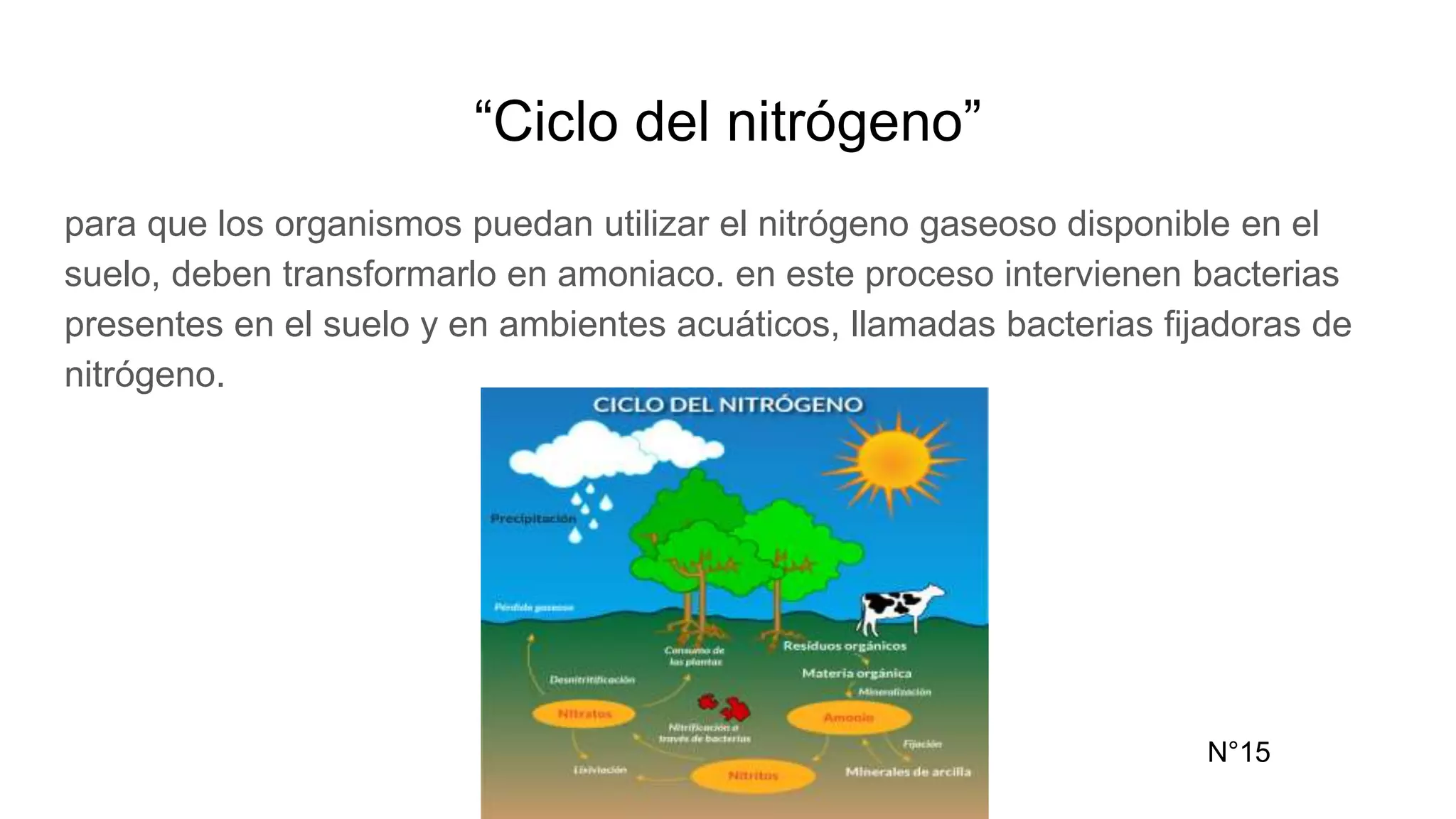 Unidad 5 “ciclos en la naturaleza” | PPT