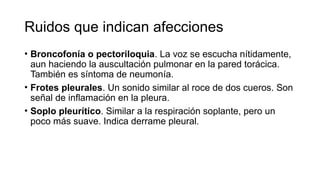 Auscultation pulmonarbasica para enfermeria | PPTX