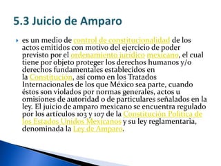 Medios de defensa contra los procedimientos administrativos en materia ...