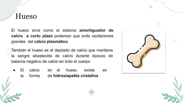 Unidad 5_Regulación del equilibrio del calcio (1).pptx
