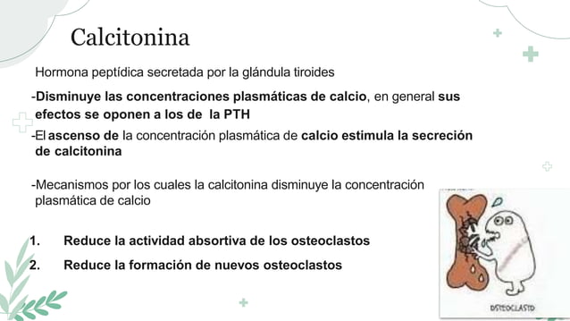 Unidad 5_Regulación del equilibrio del calcio (1).pptx