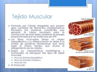 Unidad 5, tejido muscular | PPTX
