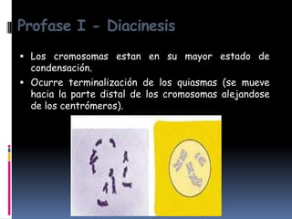 Unidad 6 Mitosis y Meiosis | PPTX