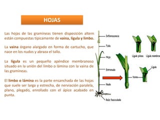 Unidad 6 | PDF