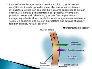 UNIDAD_6_Estado_liquido_completo-biofisica | PPT