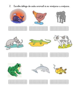 Unidad los animales | PDF