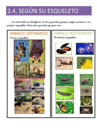 Unidad los animales | PDF