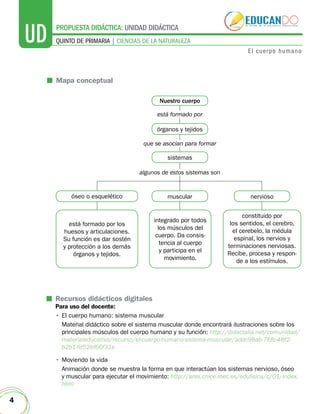 Unidad didactica cuerpo humano | PDF