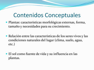 Unidad didáctica las plantas | PPTX