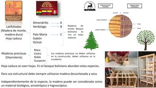 Unidad Didáctica 1 Estructuras de Madera.pptx