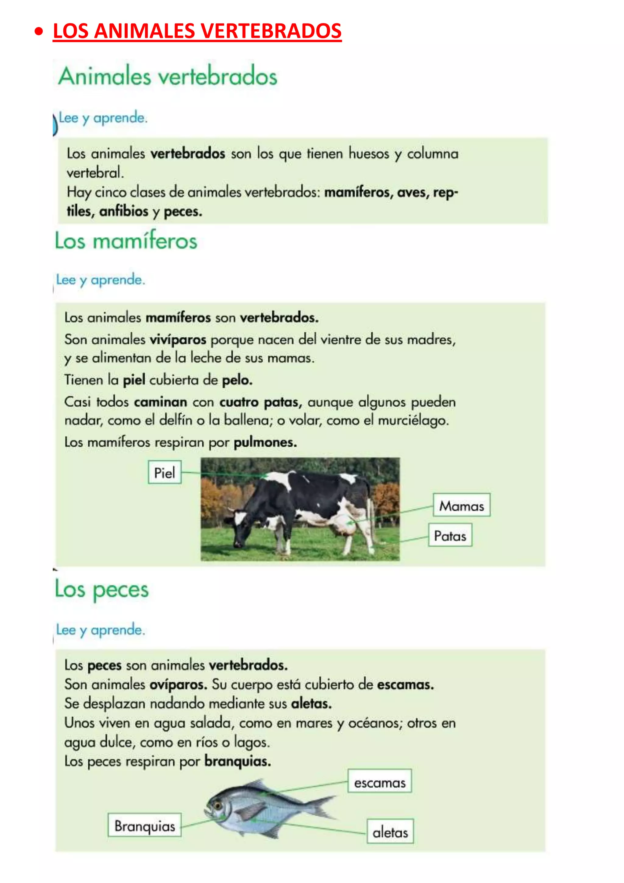 Unidad didáctica los animales | DOCX