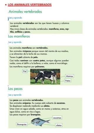 Unidad didáctica los animales | DOCX
