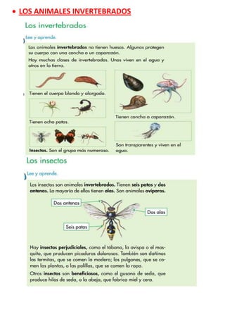Unidad didáctica los animales | DOCX