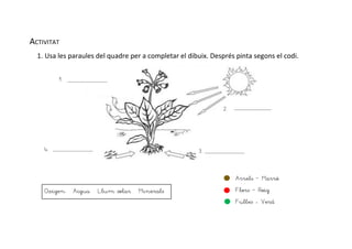 Unidad didáctica "Les Plantes" | PDF