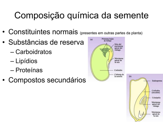 Unidade 03 composição química e maturação das sementes | PDF