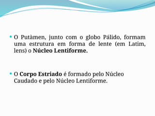 Unidade 1 Aula 2 sistema nervoso central - Cerebro e Cerebelo.pptx