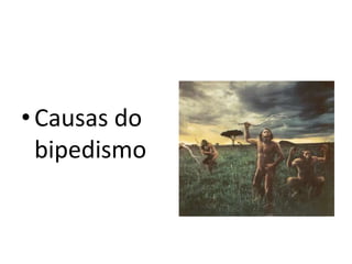 Unidade 2 Bipedismo | PPTX