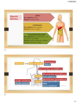 UNIDADE 6- SISTEMA DIGESTÓRIO anatomia.pdf