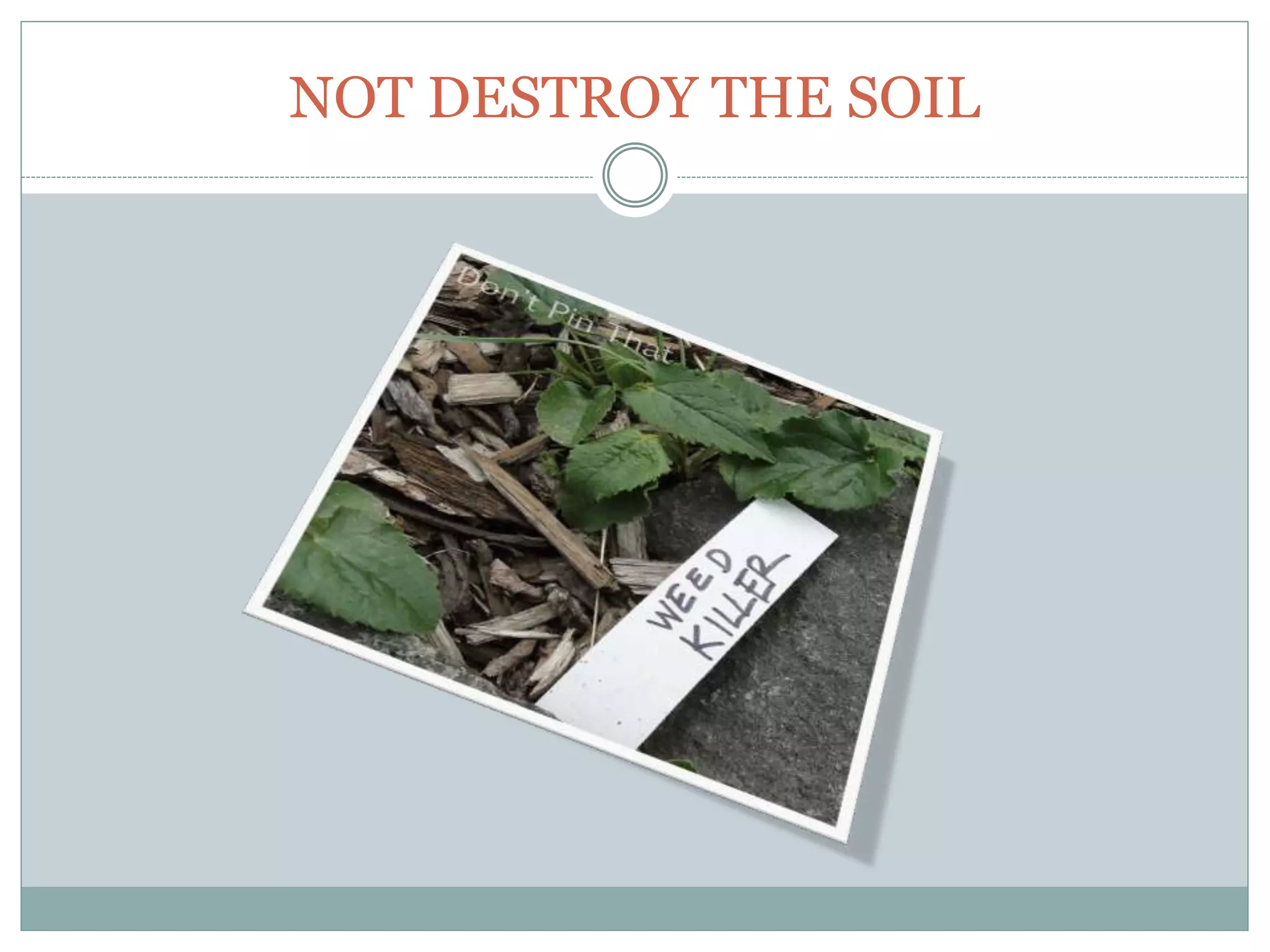 Unidad educativa baños high eschool | PPT