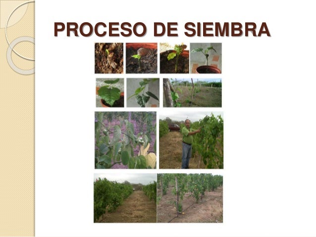 Cosecha y Siembra en la sierra Ecuatoriana