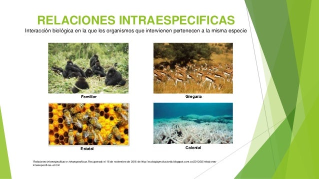 Unidades básicas de la ecología y relaciones ecologicas