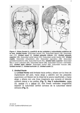 UNIDADES Y SUBUNIDADES ESTETICAS DE LA CARA | DOC