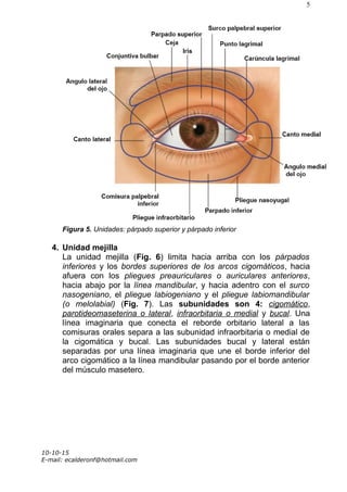 UNIDADES Y SUBUNIDADES ESTETICAS DE LA CARA | DOC