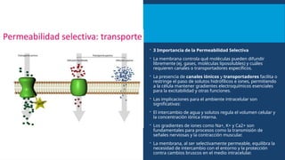 Fisiologia de la membrana celular, nervio y musculo | PPTX