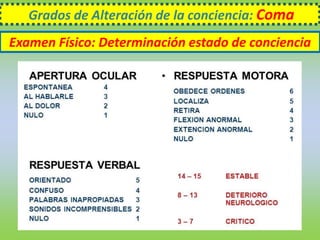 Unidad iii neurología - coma - fernanda pineda gea - medicina interna ...