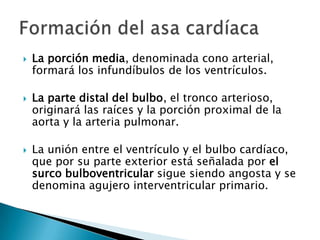 embriologia del corazon | PPTX