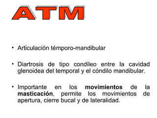 Unidad iii enfermería 3° atm, musc. masticación, cavidades | PPT