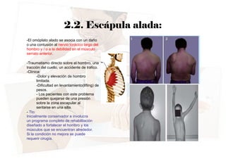 Unidad III Traumatismo del Miembro Superior.pptx