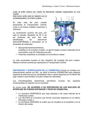 Envoltura Nuclear | DOCX