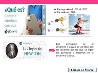 Clase de biomecánica y kinesiología. Ft. | PPT | Physics | Science